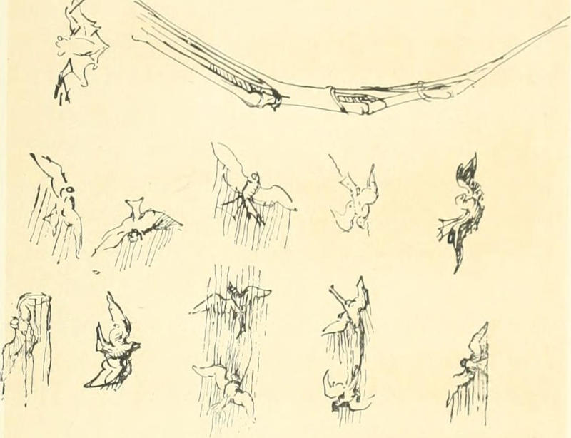 Leonardo da Vinci’s Moon Firdaria: A Benevolent Birth - Satya Astrology