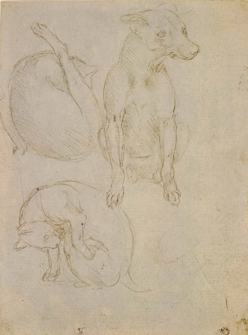 Leonardo da Vinci’s Moon Firdaria: A Benevolent Birth - Satya Astrology